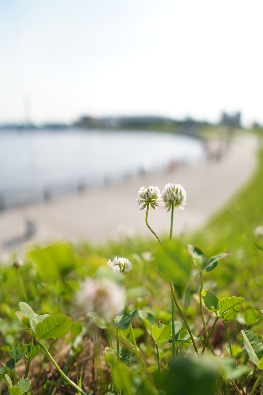 APS-Cでこの超広角！ ZV-E10Vとの相性抜群のレンズ3本が来た！｜APEX Insight - エイペックスインサイト -｜カメラ ...